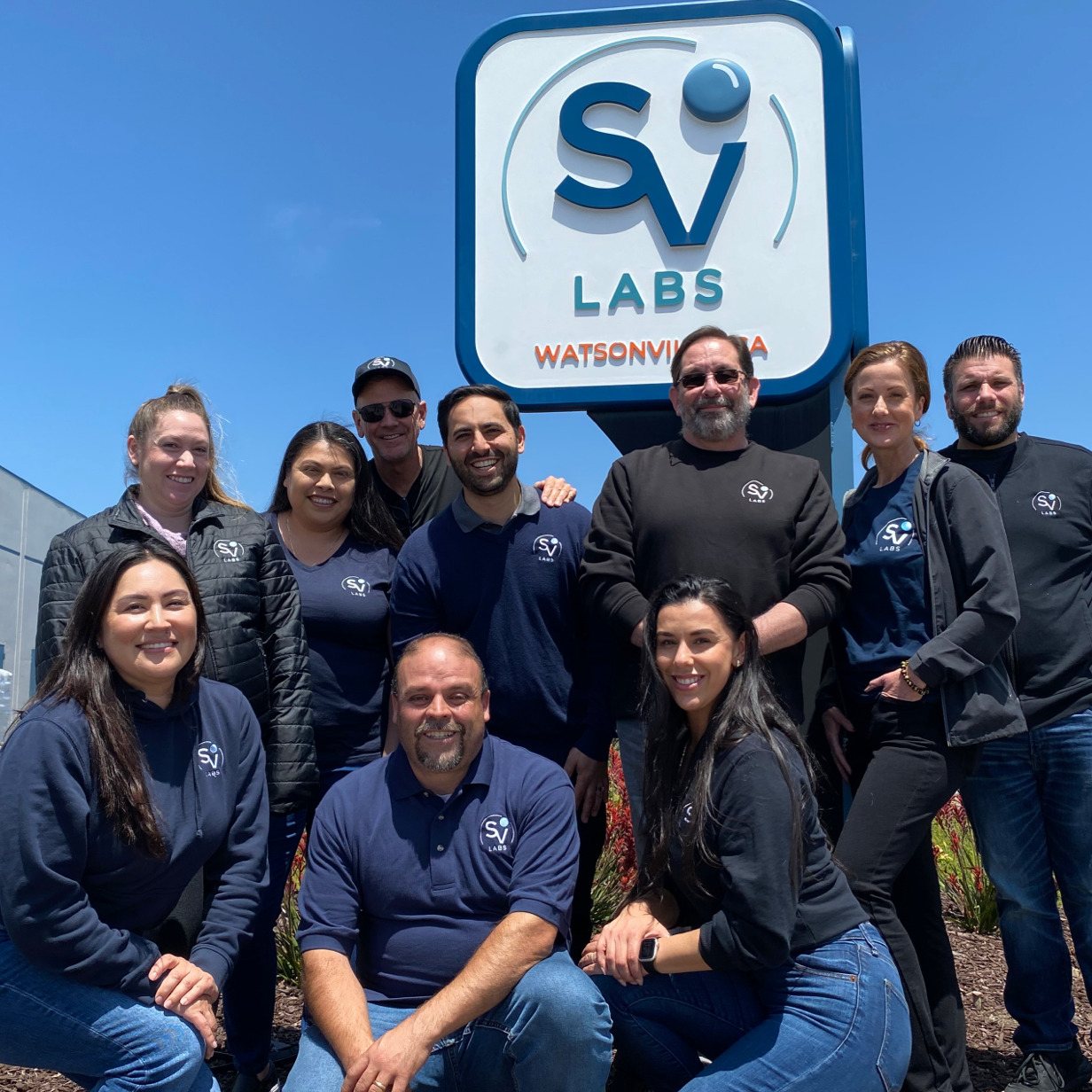 Contact SV Labs